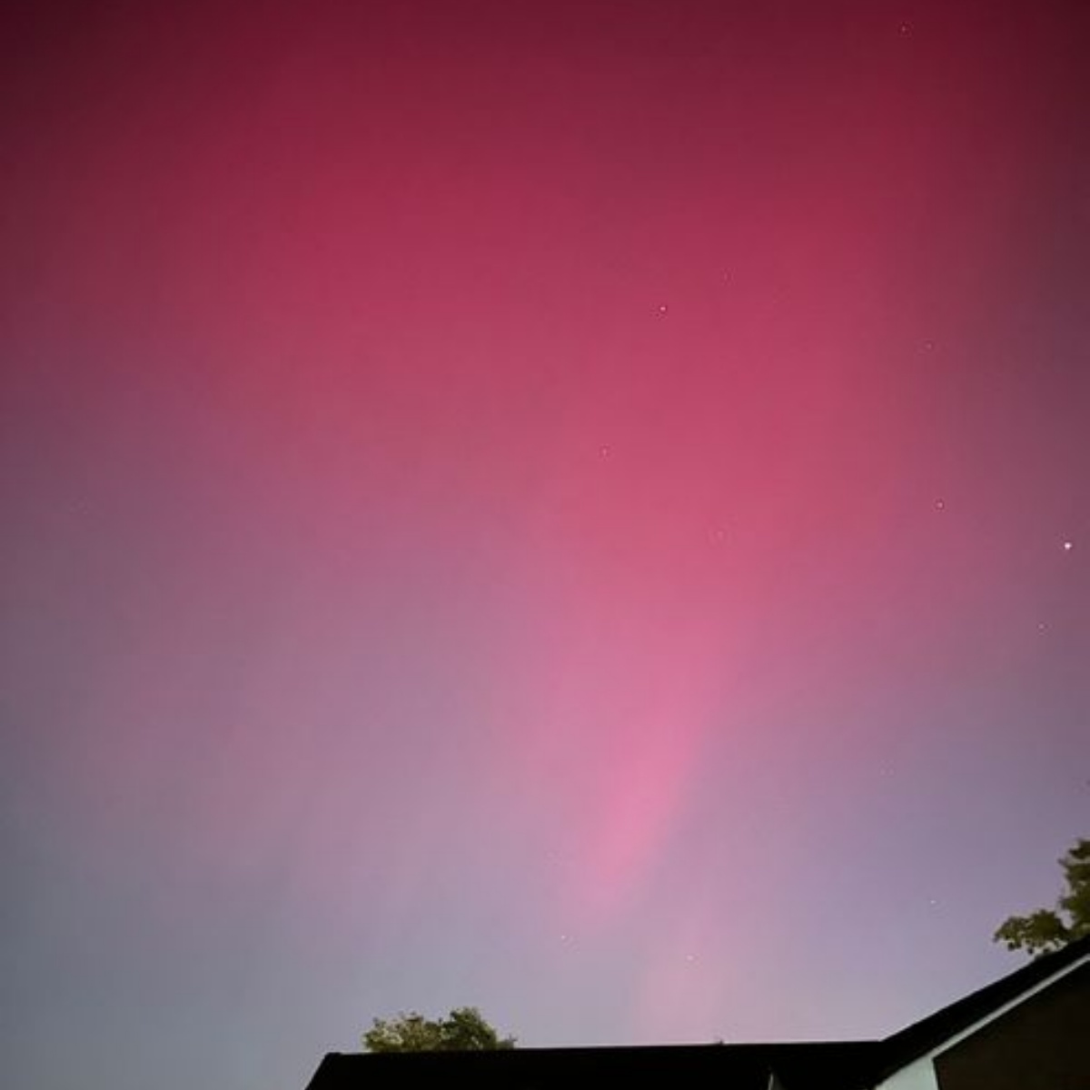 The Cape Primary School - The Northern Lights